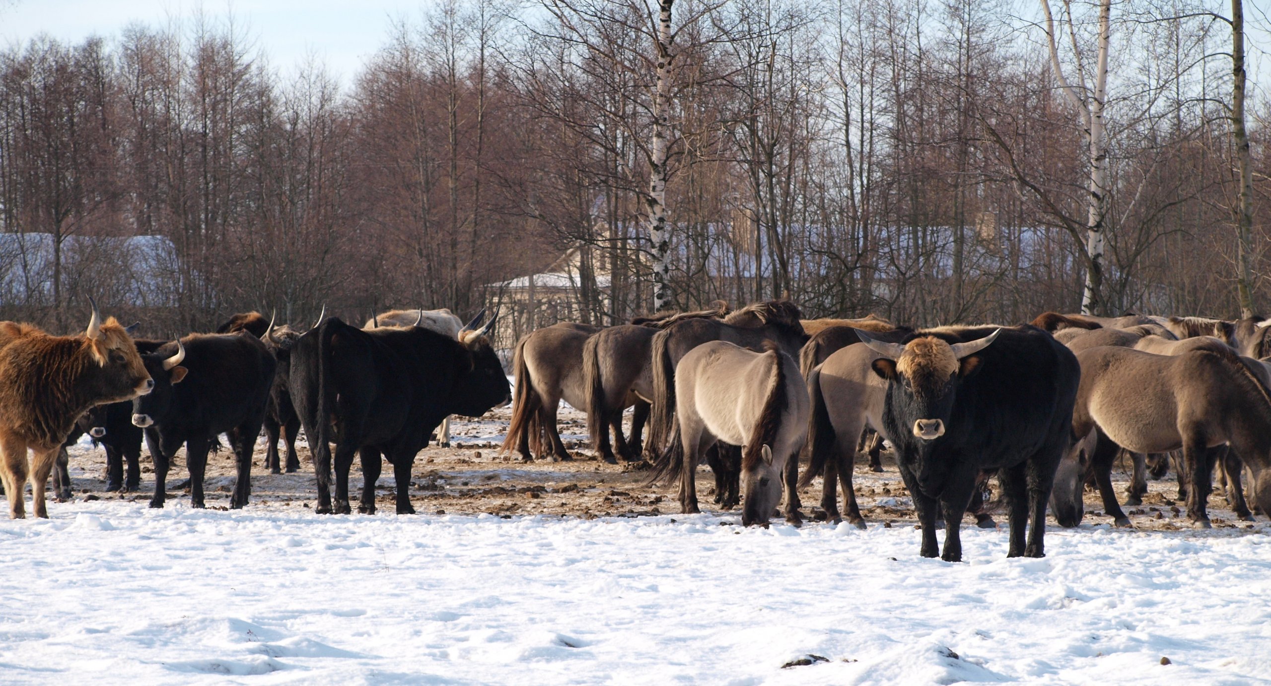 Pape Nature Park - Worldviewstream