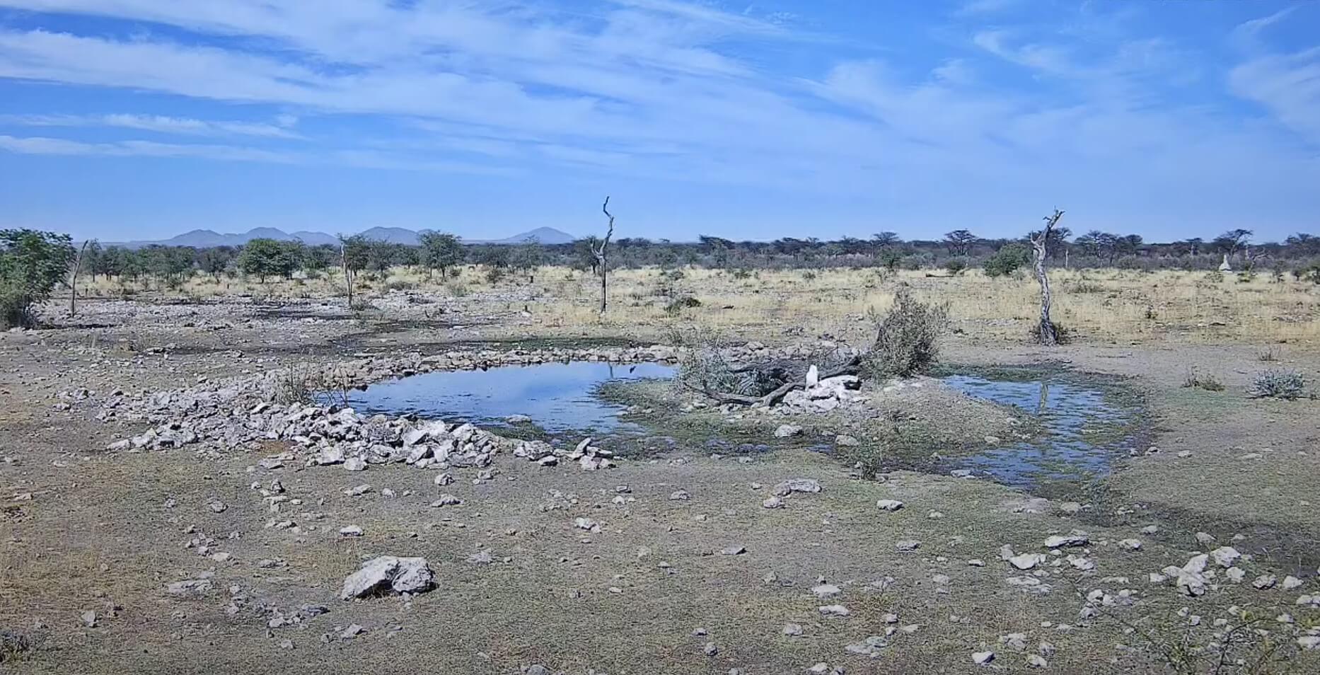 Kambaku Wildlife Reserve Webcam - Namibia 🎦