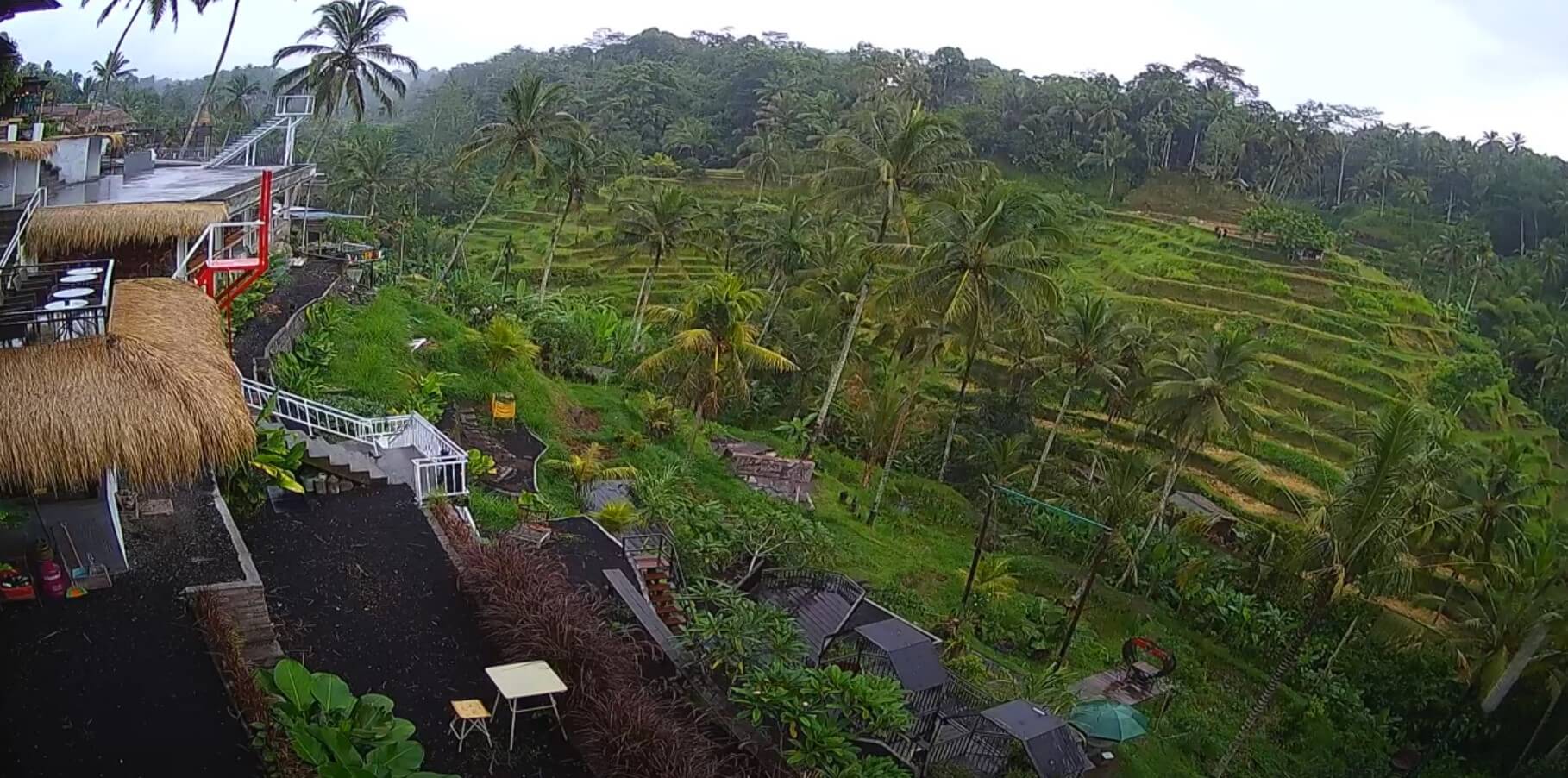 Bali, Rice fields - Live Webcam in Indonesia 🎦
