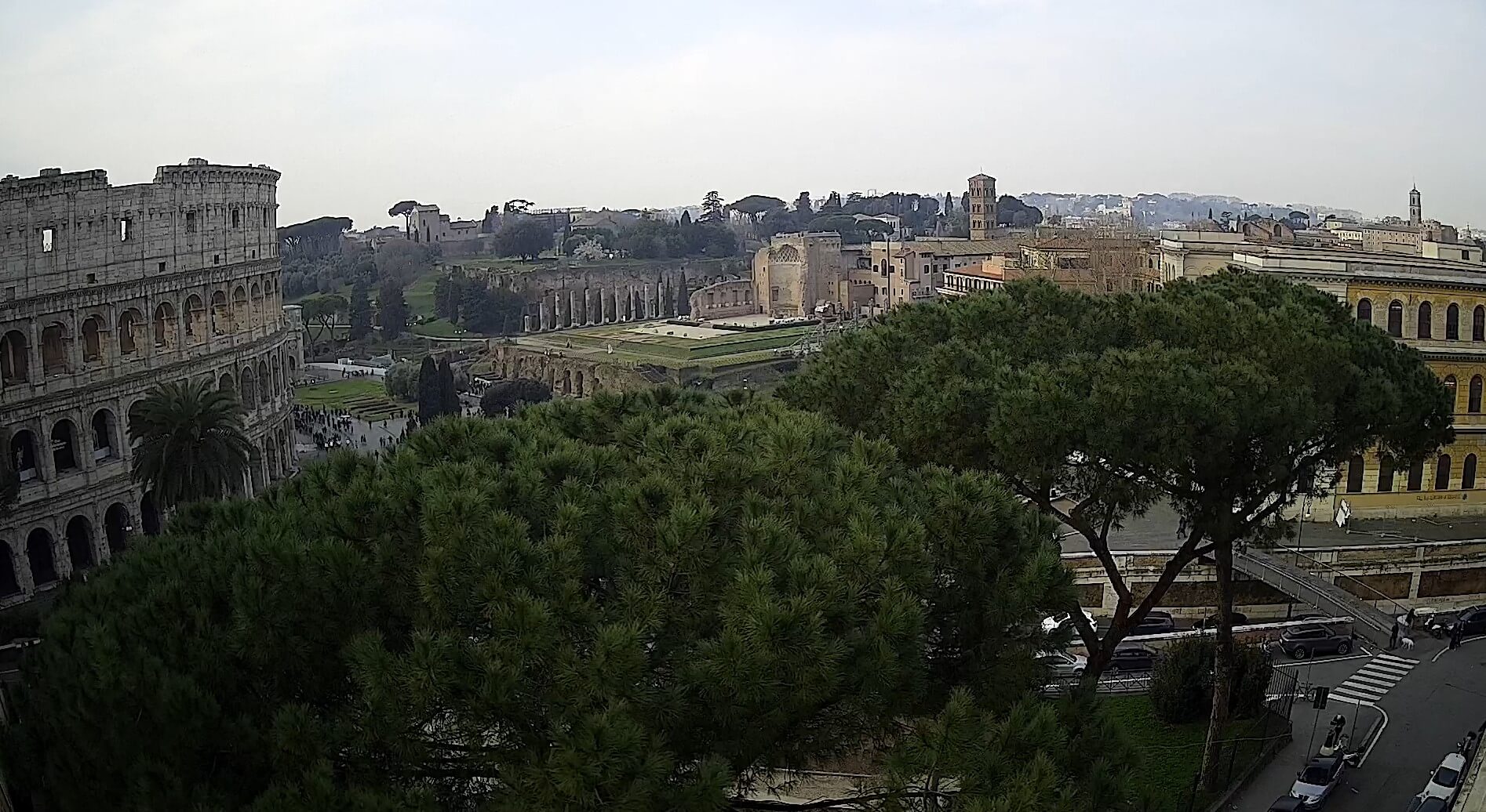 Colosseum in Rome Webcam - Italy 🎦