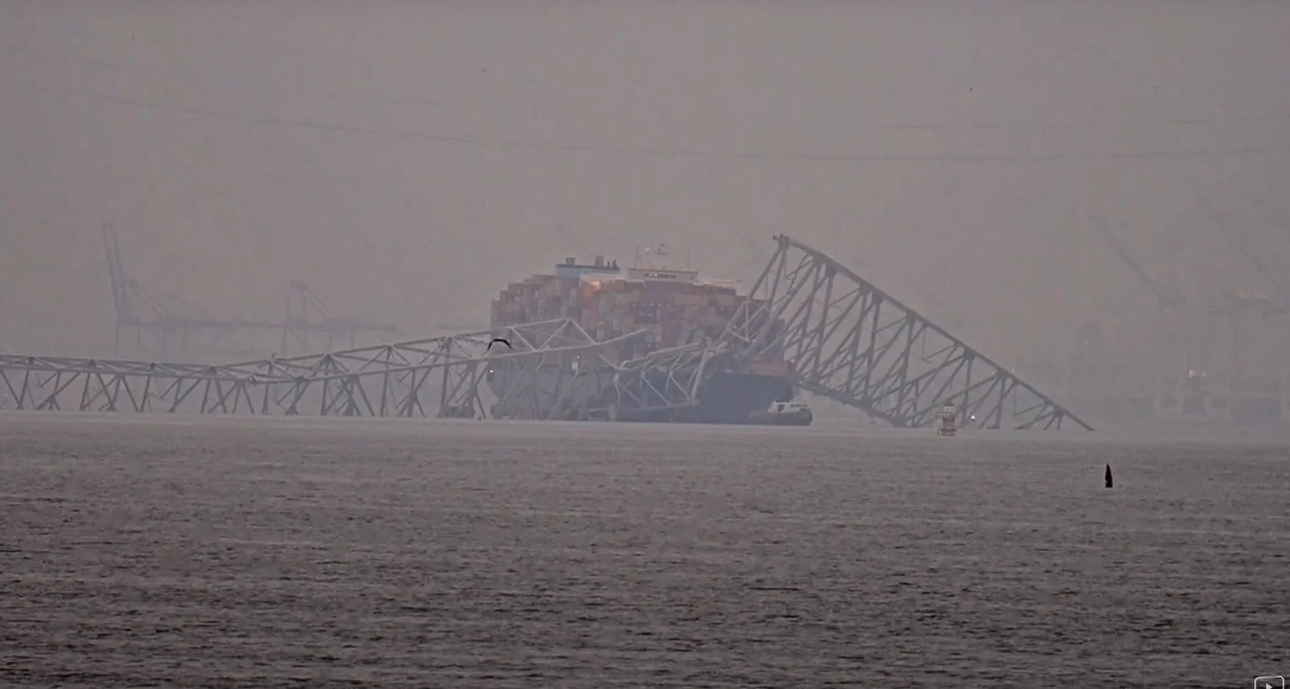 Baltimore Key bridge Webcam - USA 🎦